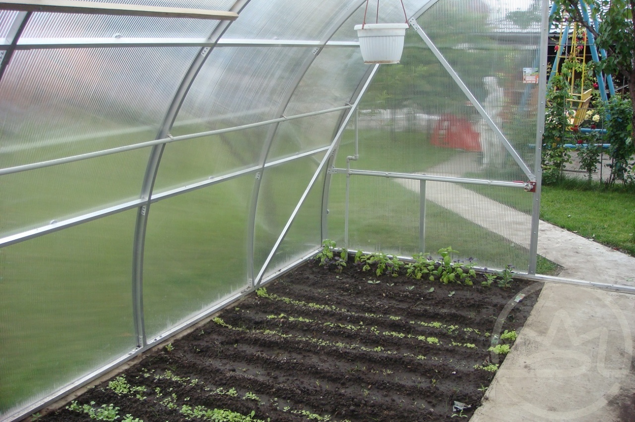 Kasvuhoone Standard-3 Solidprof | Kasvhoone